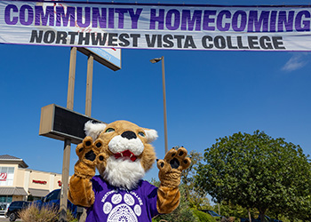 NVC : Brand and Identity : Guidelines | Alamo Colleges