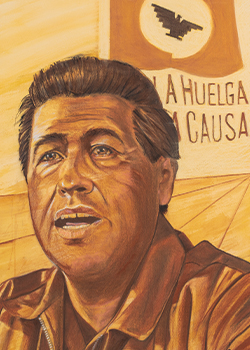 SPC : The Romo Collection | Alamo Colleges