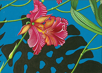 SPC : The Romo Collection | Alamo Colleges