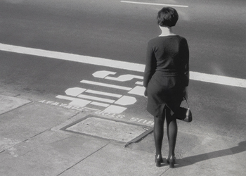 SPC : The Romo Collection | Alamo Colleges